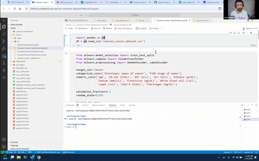 SAS Viya Workbench: Featured at BASUG - SAS Support Communities