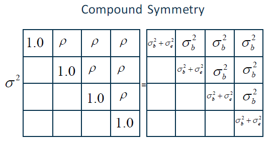 Repeat After Me: Understanding Correlation Matrices in Repeated Measures Models