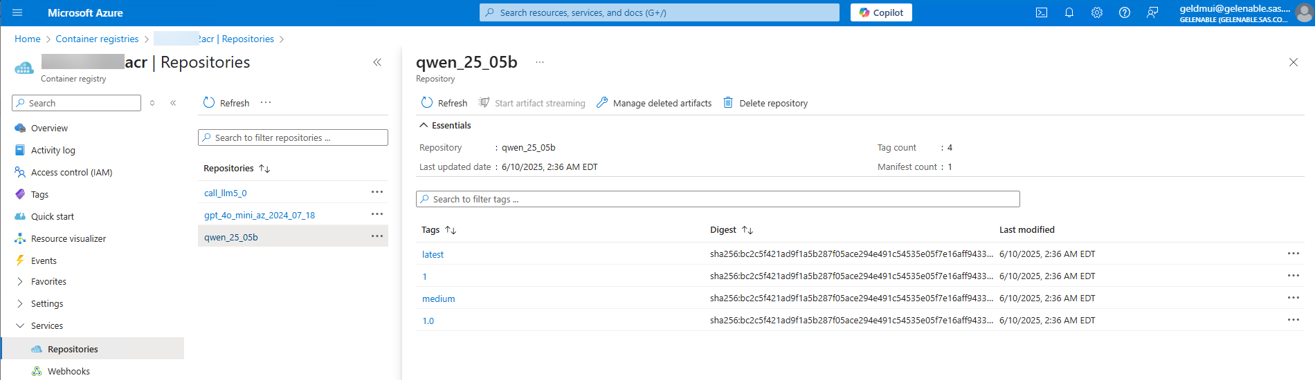 SAS Agentic AI Accelerator – Register and Publish Models