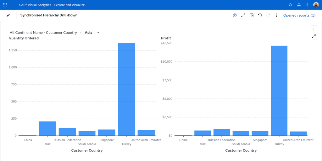 SAS Visual Analytics: Synchronized Hierarchies with Custom Graphs