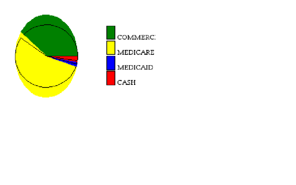 Solved: Pie Chart Image Distortion in ODS Layout - SAS Support Communities
