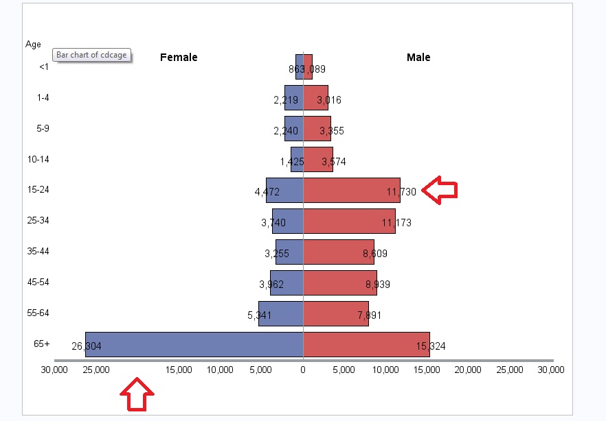 Solved: Population Pyramid Annotated - Proc Gchart - Labels Off - SAS Support Communities