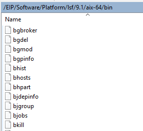How to enable the running of LSF B commands within a SAS front-end app ...