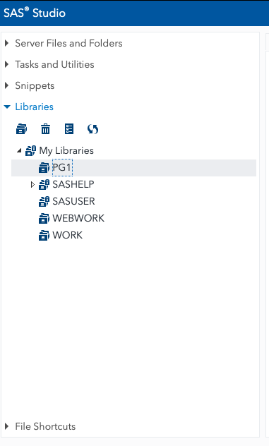 Solved: SAS Programming 1: Essentials : No data in PG1 library - SAS Support Communities