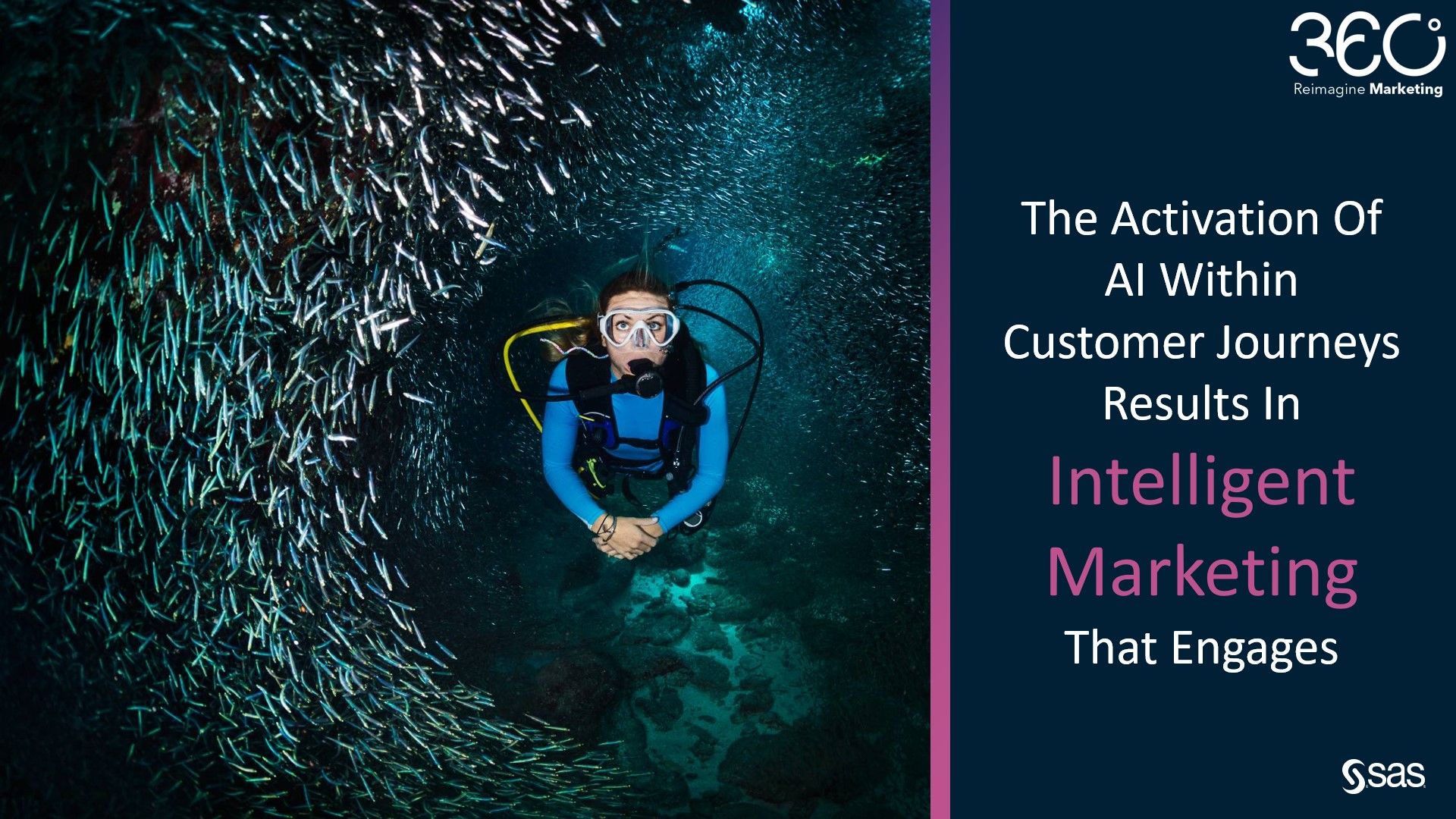 Analytical Campaign Management for Digital, Direct & Email with SAS Cu ...