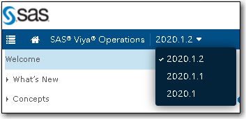 Documentation Resources for SAS Viya (2020.1 and Later) - SAS Support ...