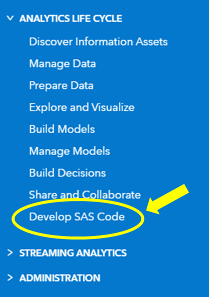 Juletip 17 Can I Code In Sas Visual Analytics Sas Support Communities