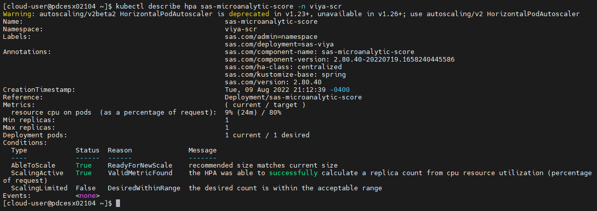 Exploring Kubernetes Autoscalers for real-time SAS environments
