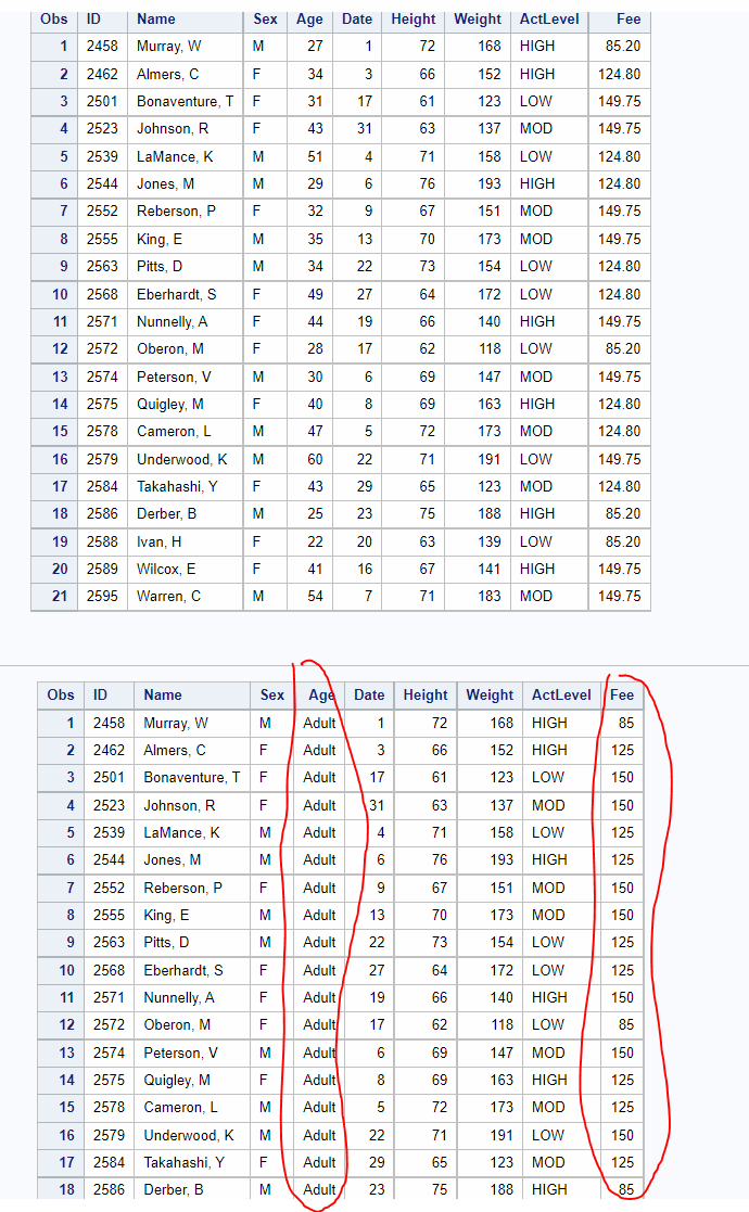 Solved: Format was not found or could not be loaded. - SAS Support ...