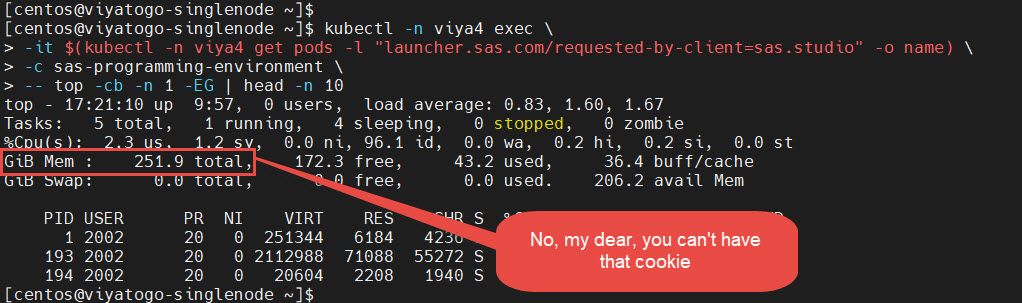 Considerations for optimizing SAS compute sessions in SAS Viya on Kube ...