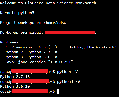 Solved: Error in SASPy using Python Linux to a remote SAS 9 server ...