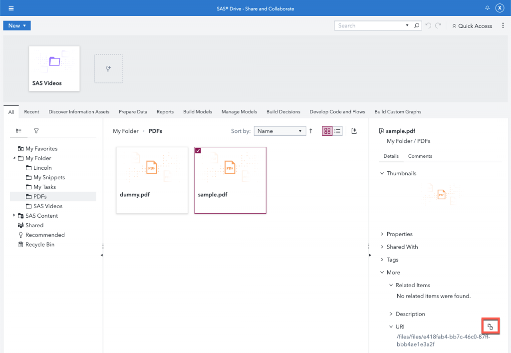 How to display PDF file in a SAS Visual Analytics report?