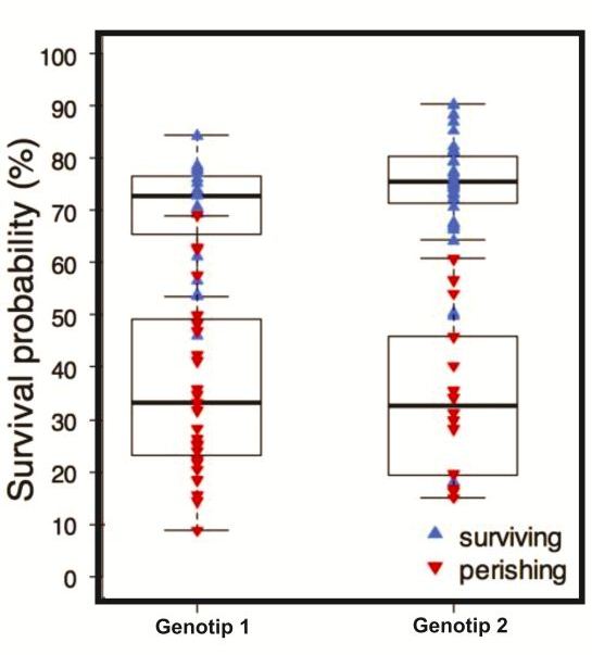 factorial split-plot (how to combine 2 years?) - SAS Support Communities