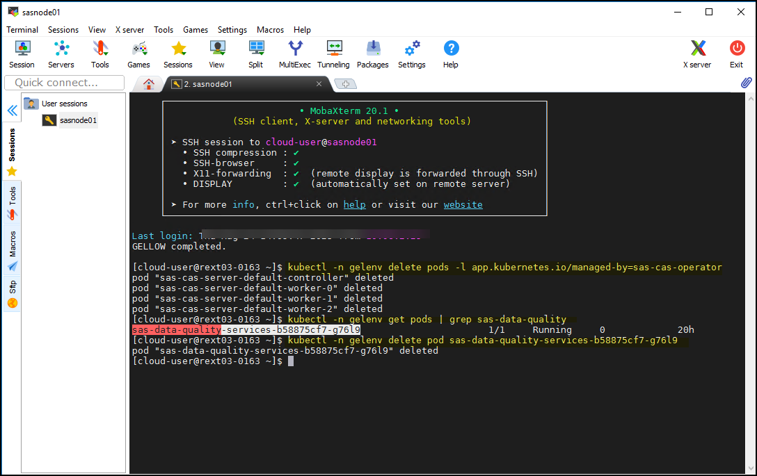 SAS Viya: Add a Customized Quality Knowledge Base (QKB) to CAS and SAS ...