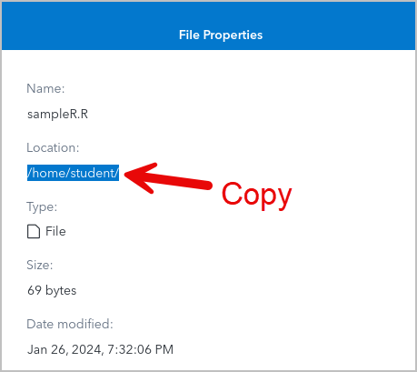 Experience of an R Programmer Using the R Runner Custom Step in SAS Studio Flows