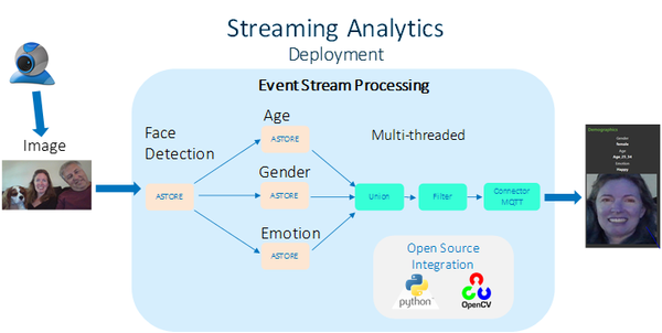 Demographic image analysis using computer vision, model training and s ...