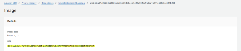 Running SAS Scoring Runtime Containers through AWS Fargate