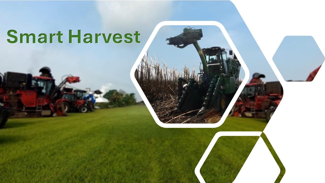 Smart Harvest Team - Optimizing harvesting planning - SAS Support Communities